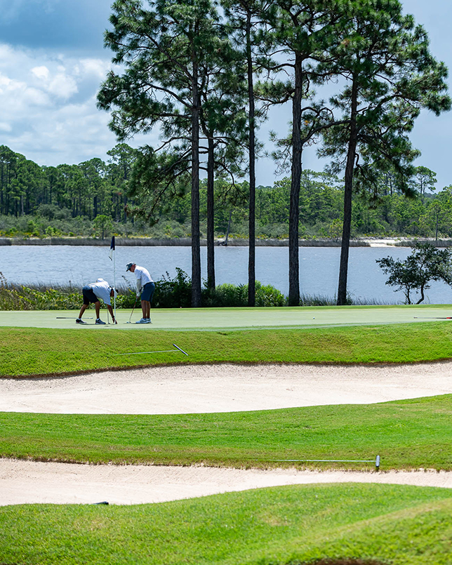 Shark's Tooth Golf Course | Watersound Club